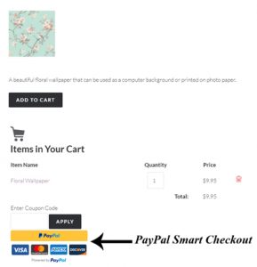 Enabling PayPal Smart Button Checkout – Setup and Configuration | Tips ...