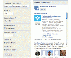 Facebook Promotion 101: How to Develop a Like Campaign